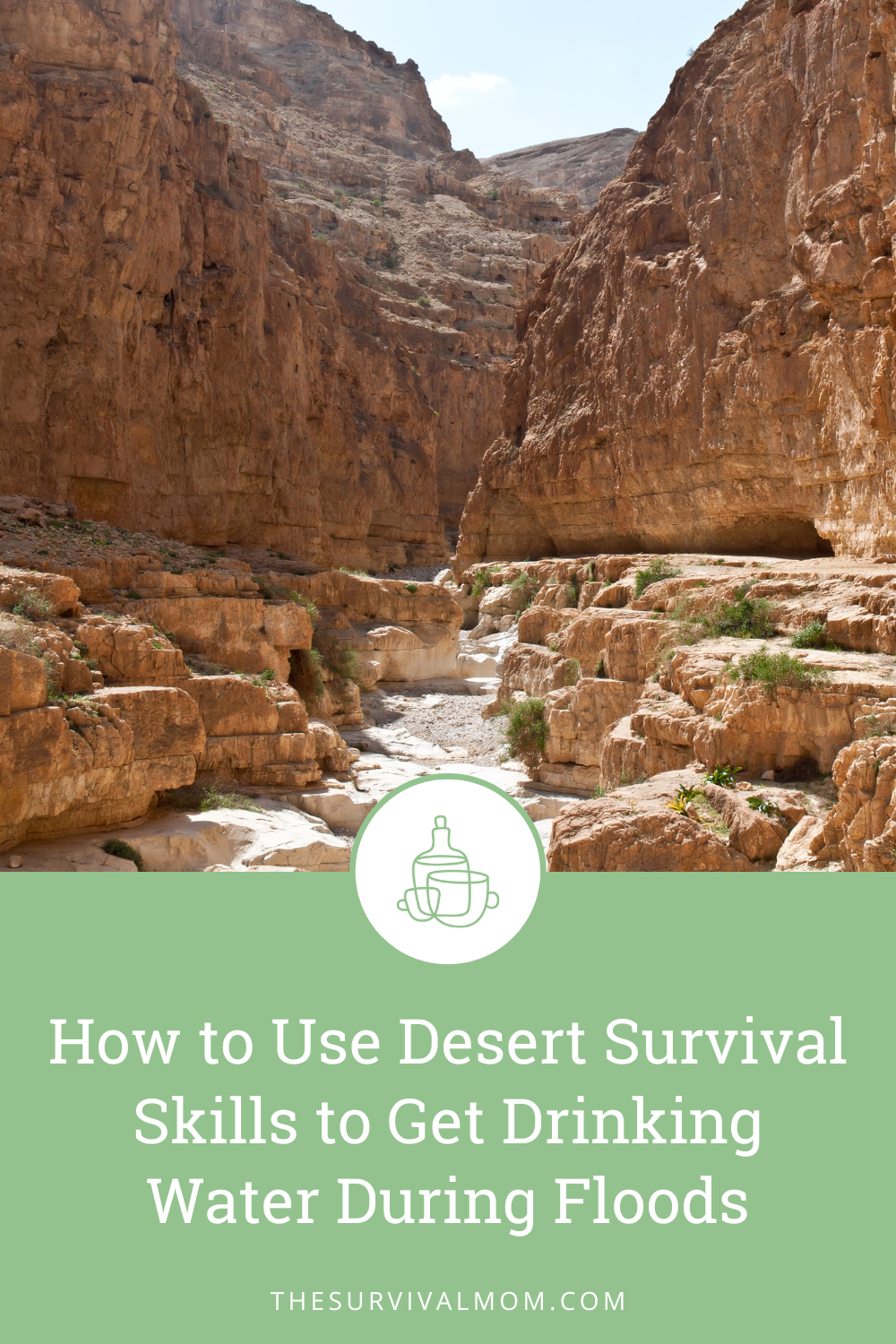 How to Use Desert Survival Skills to Get Drinking Water During Floods ...