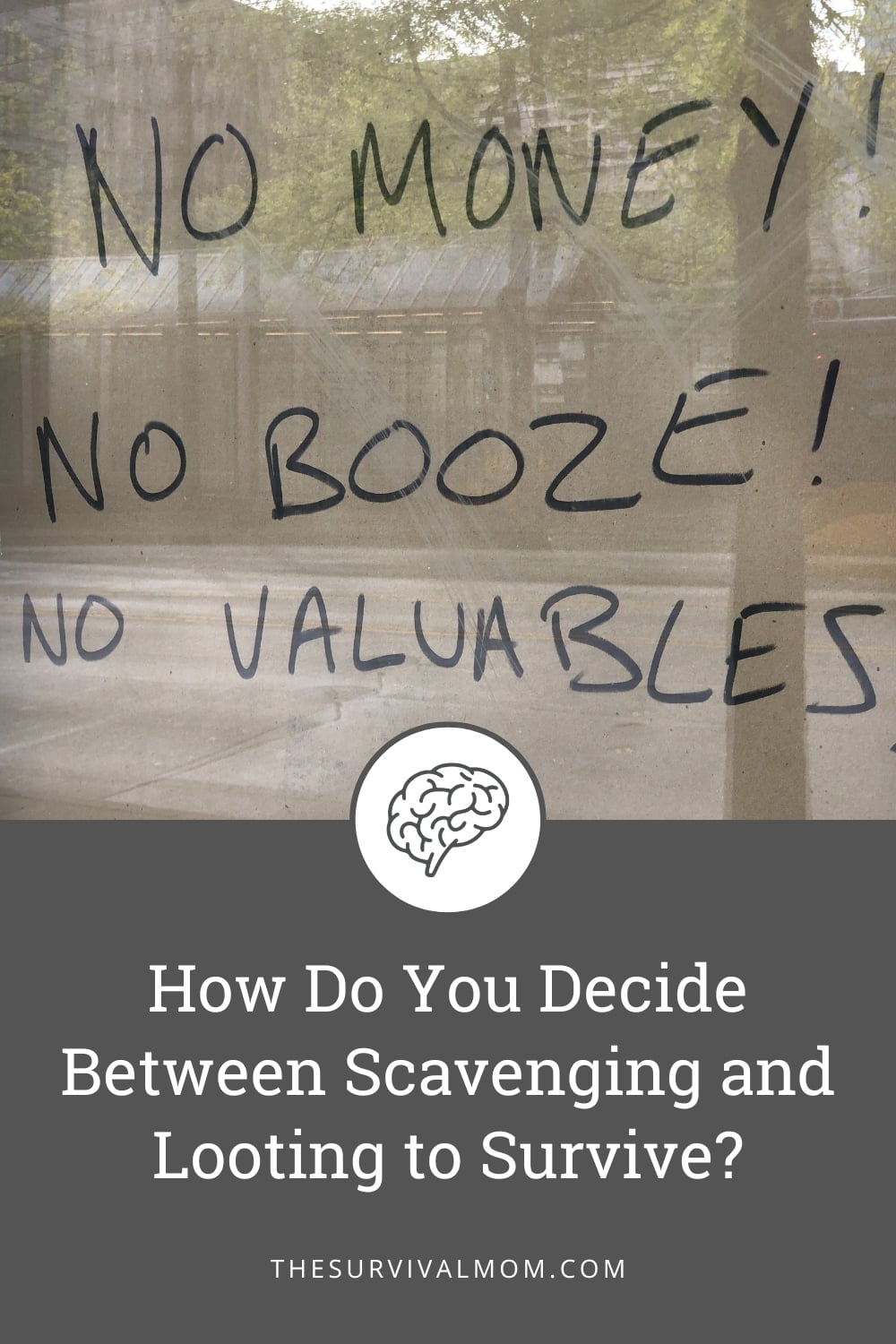 How Do You Decide Between Scavenging and Looting to Survive?- The ...
