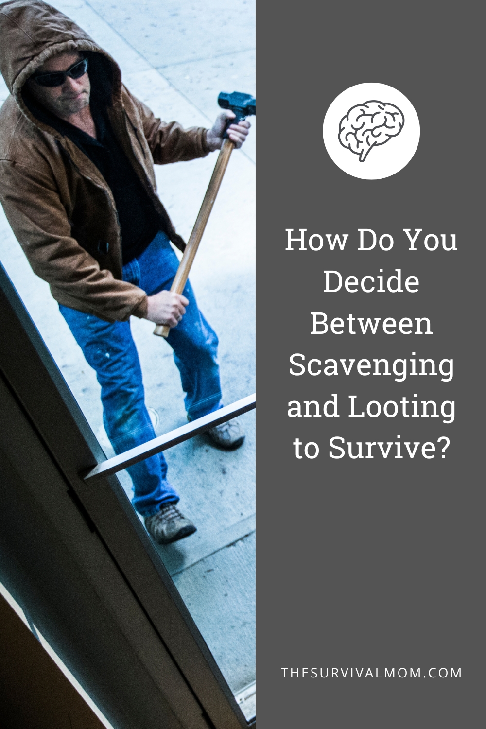 How Do You Decide Between Scavenging and Looting to Survive?- The ...