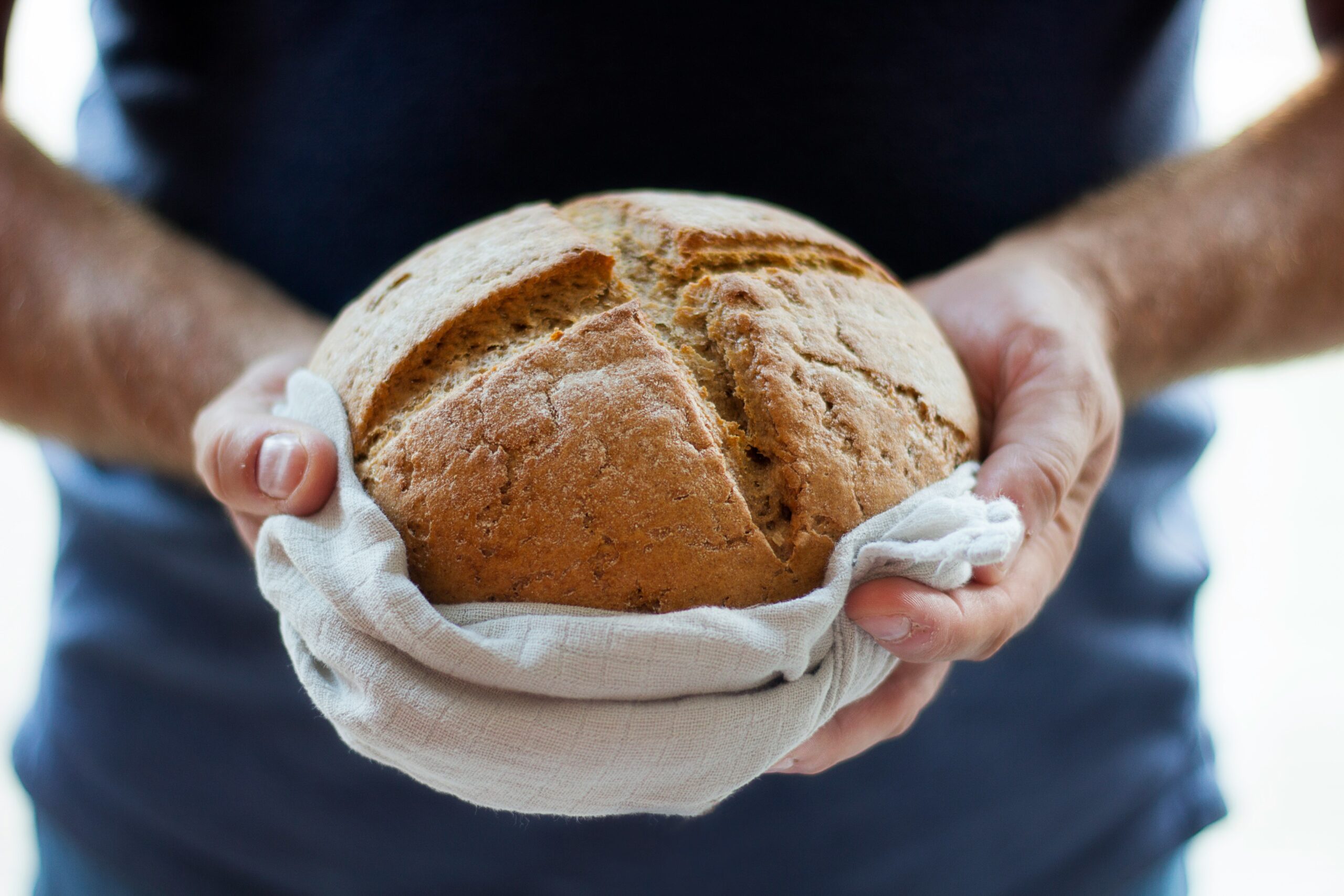 16 Ways to Find Free Food - The Survival Mom