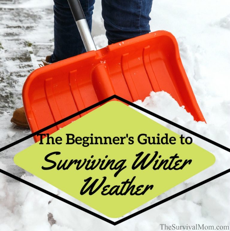 The Beginner's Guide to Surviving Winter Weather - Survival Mom