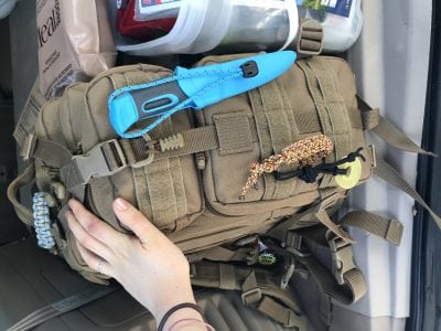 What to Include in a College Emergency Kit for Your Student - The ...