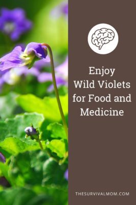 Enjoy Wild Violets for Food and Medicine - Survival Mom