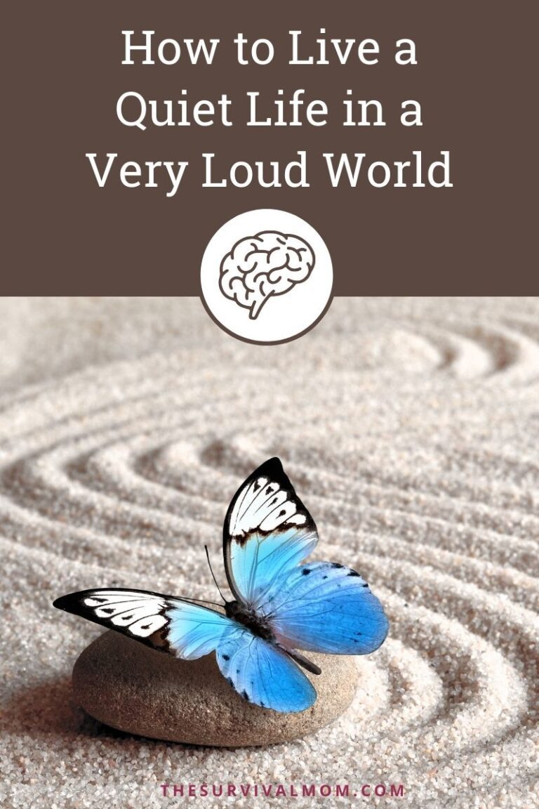How to Live a Quiet Life in a Very Loud World - The Survival Mom