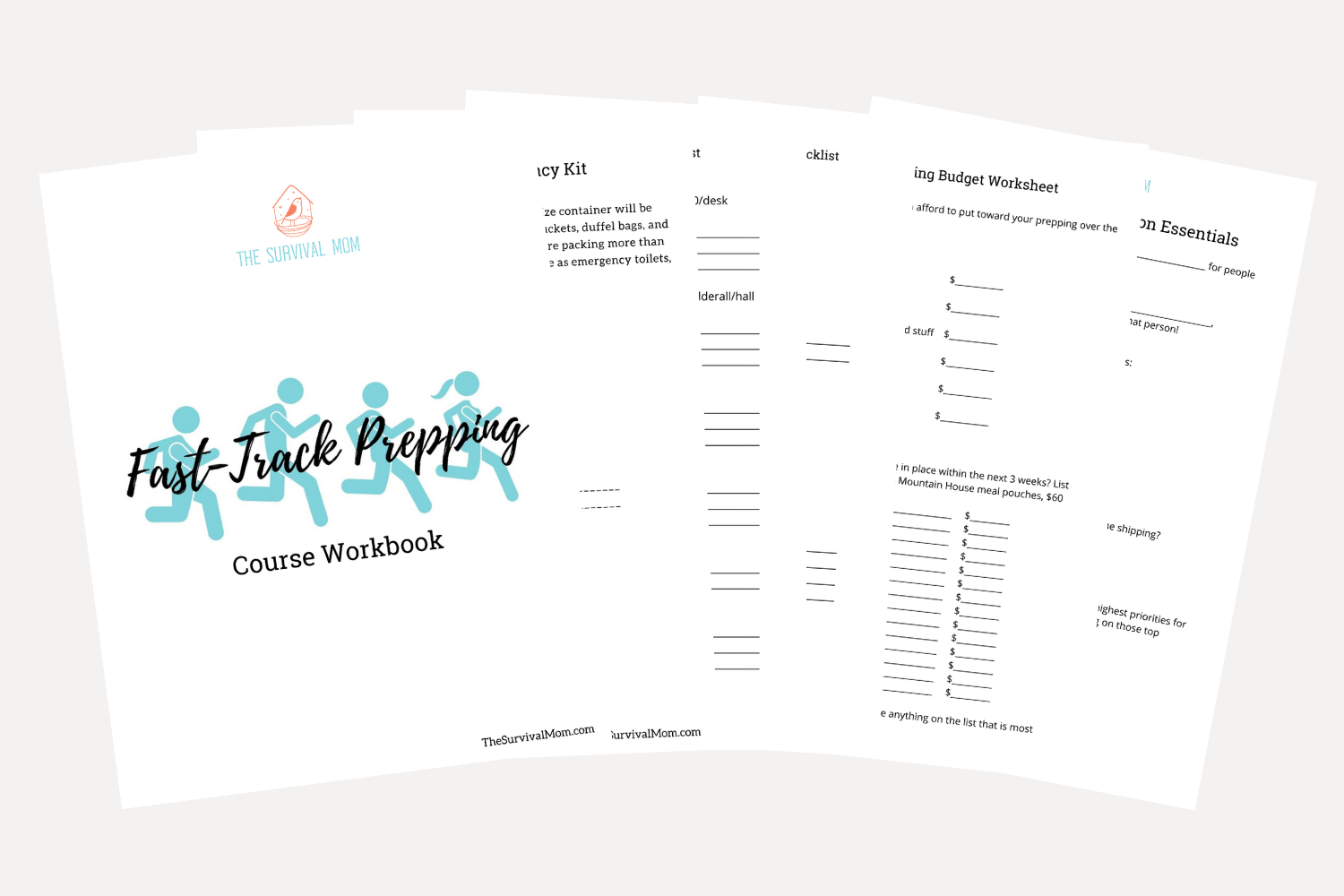 Fast Track Prepping - The Survival Mom