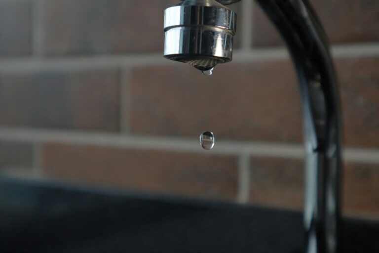 Smart Ways to Conserve Water During Drought - Survival Mom