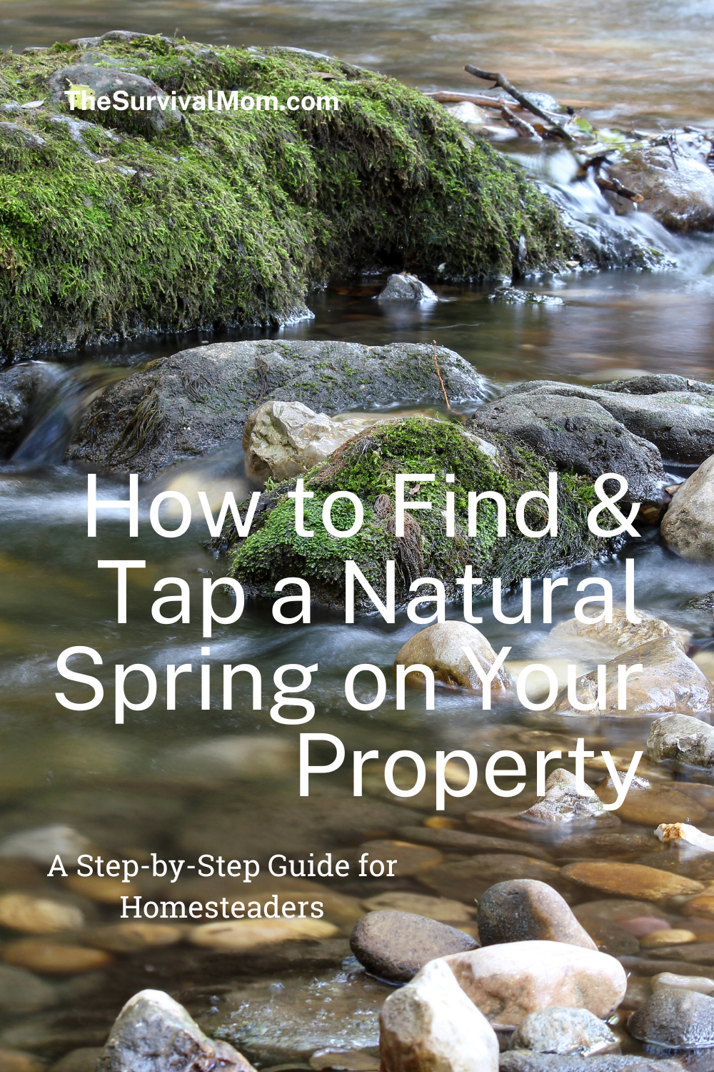 How to Find and Tap into a Natural Spring on Your Property: A Step-by ...