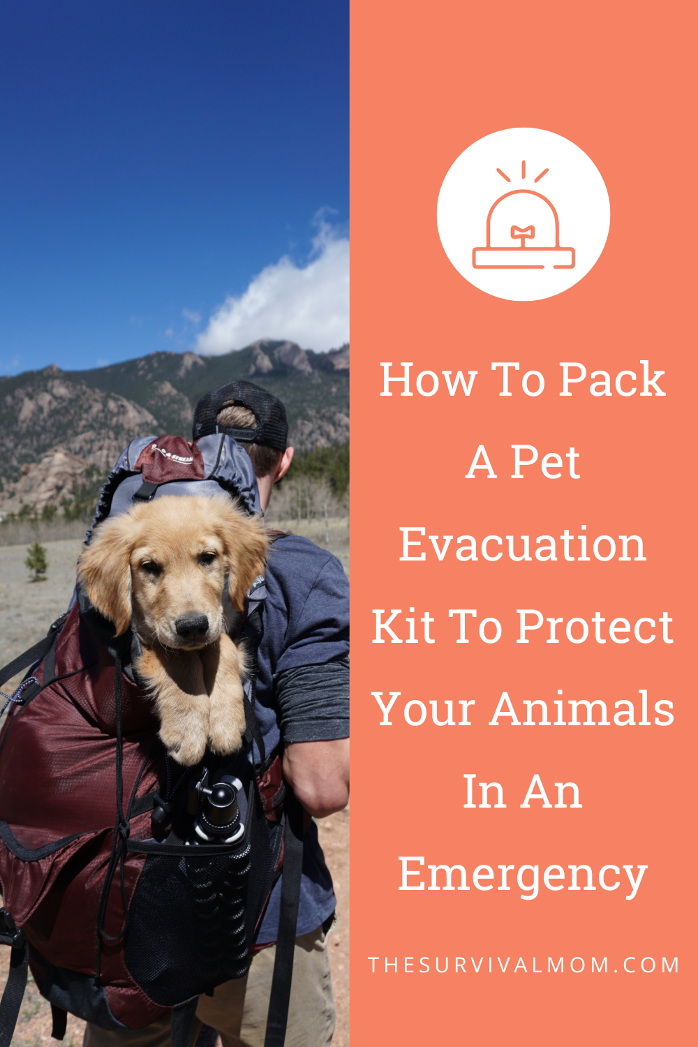 Protect Your Pet In Emergencies With A Pet Evacuation Kit - Survival Mom
