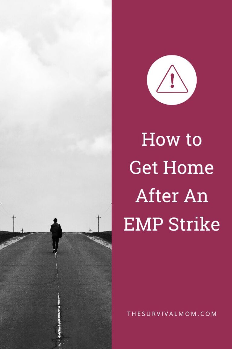 Stranded but Determined: How to Get Home After an EMP Strike - The ...