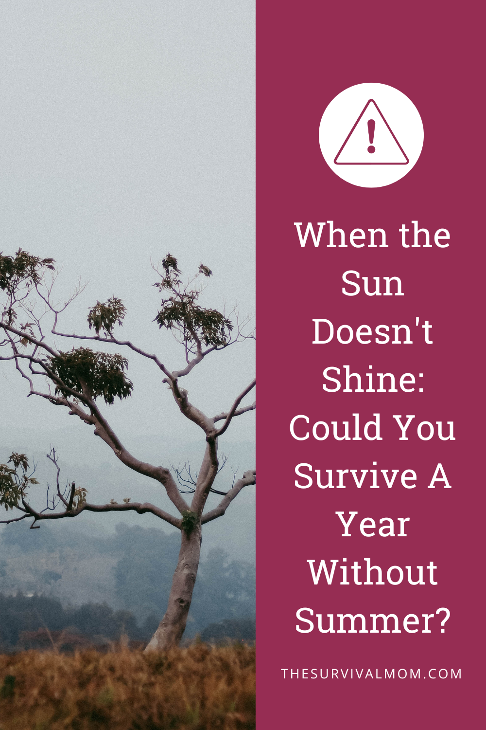 Could You Survive a Year Without Summer? - Survival Mom