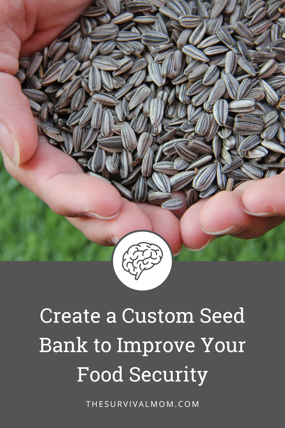 Create a Custom Seed Bank to Improve Your Food Security - The Survival Mom