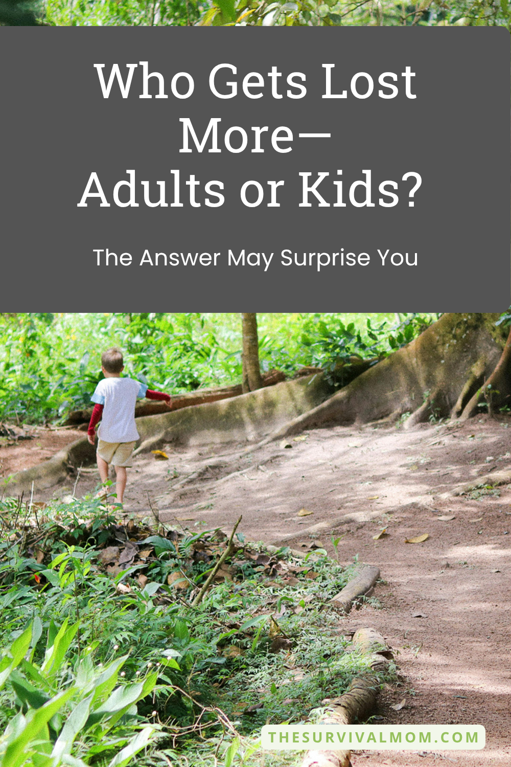 Lost and Alone in the Wilderness? Use the STOP Method - The Survival Mom