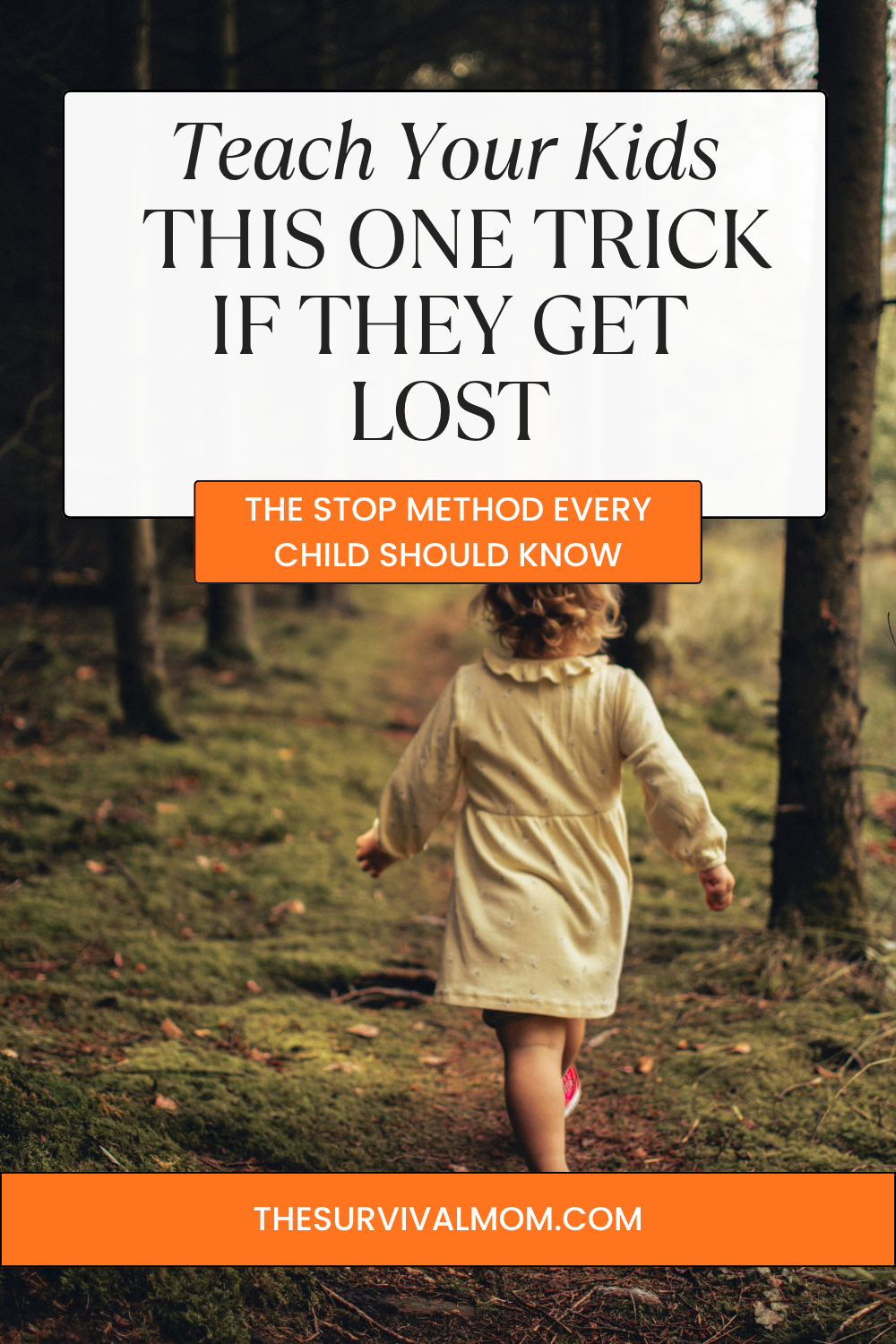 Lost and Alone in the Wilderness? Use the STOP Method - The Survival Mom