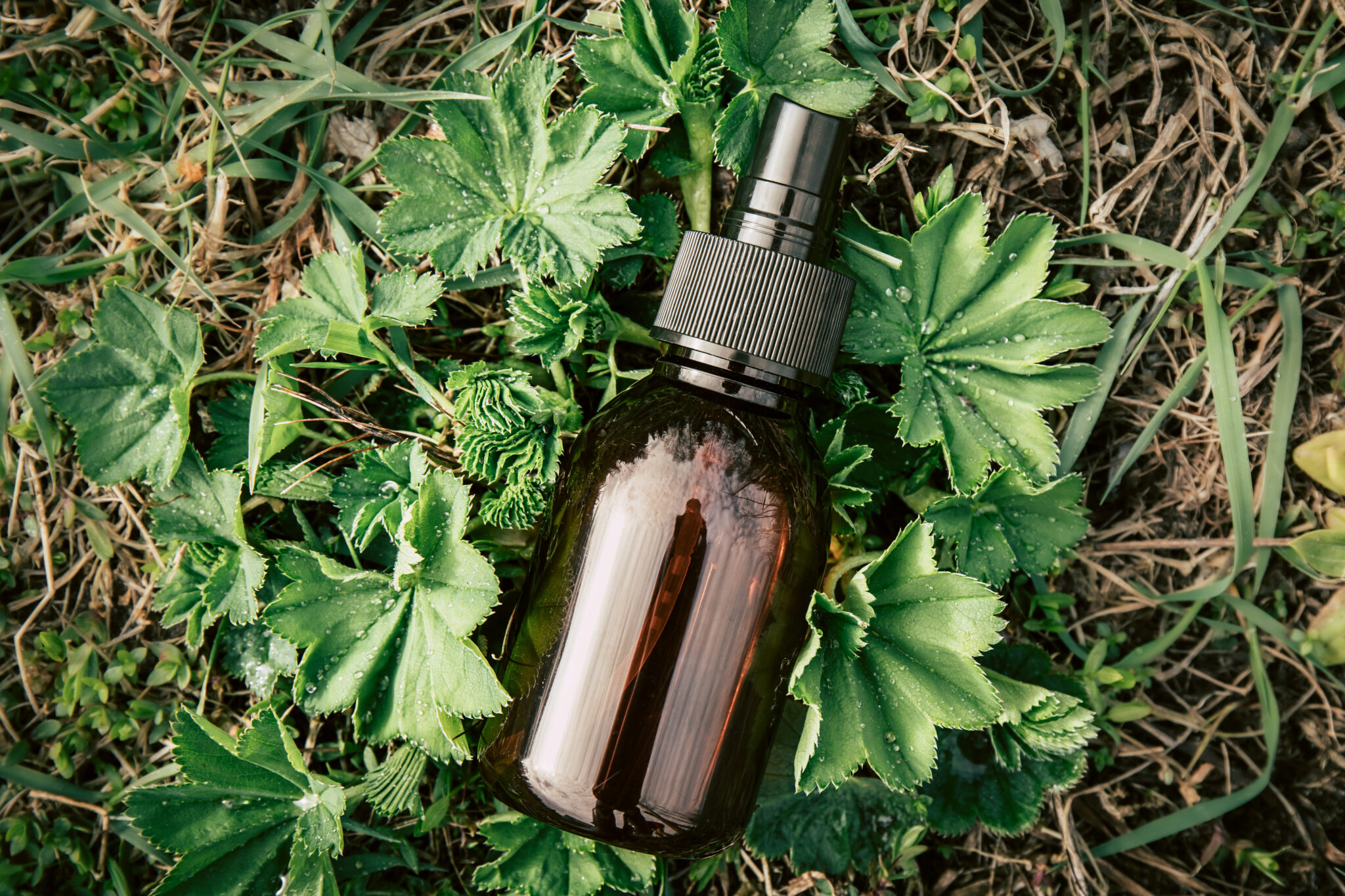 How to Make Herbal Tinctures - The Survival Mom
