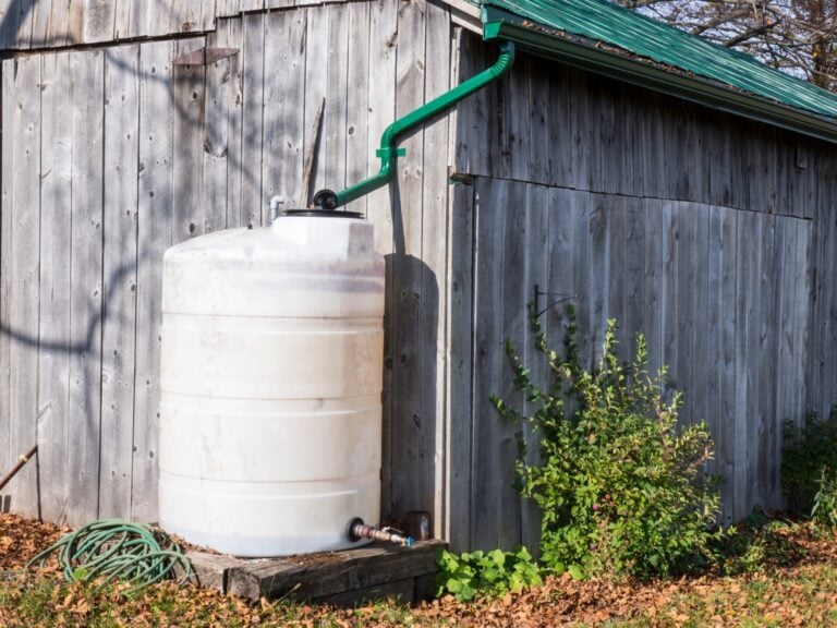Methods for Collecting Rainwater in Rural Areas - The Survival Mom