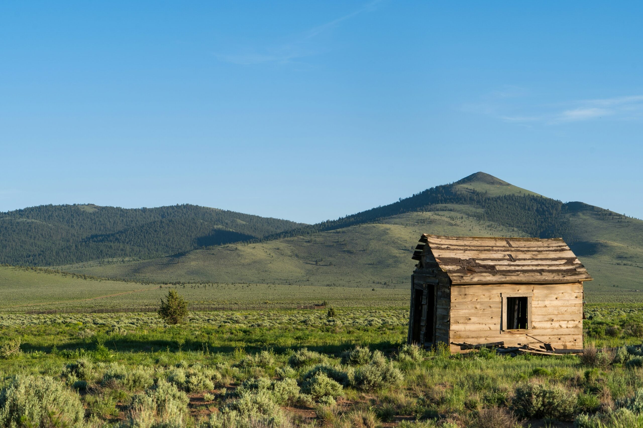 28 Pieces of Pioneer Weather Wisdom - Survival Mom