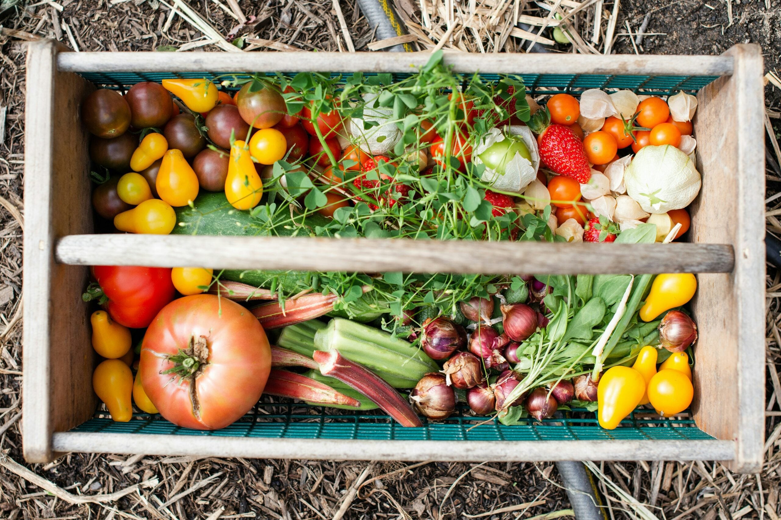 Will a Survival Garden Slowly Starve You to Death? - Survival Mom