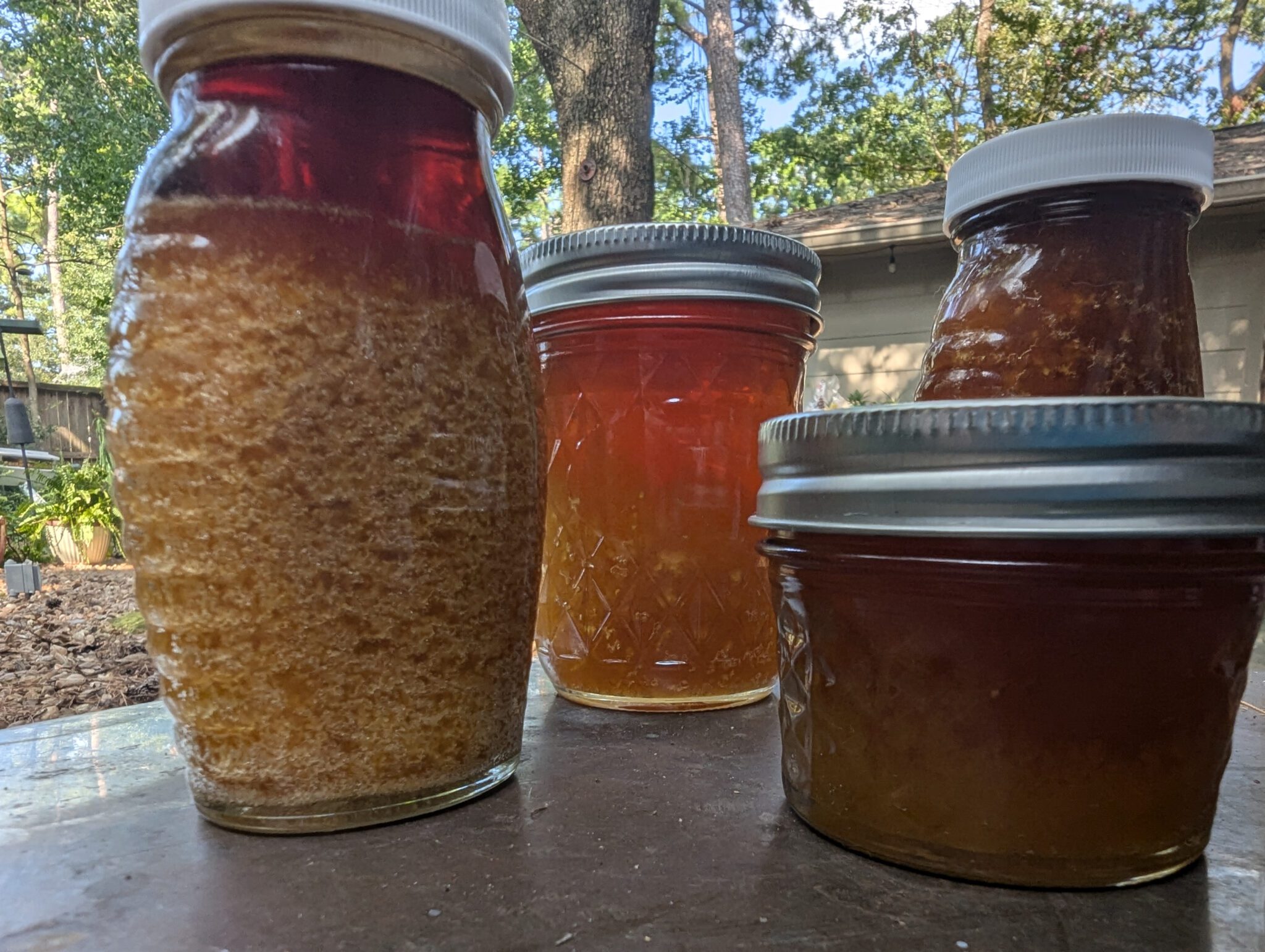 How to Store Honey - The Survival Mom