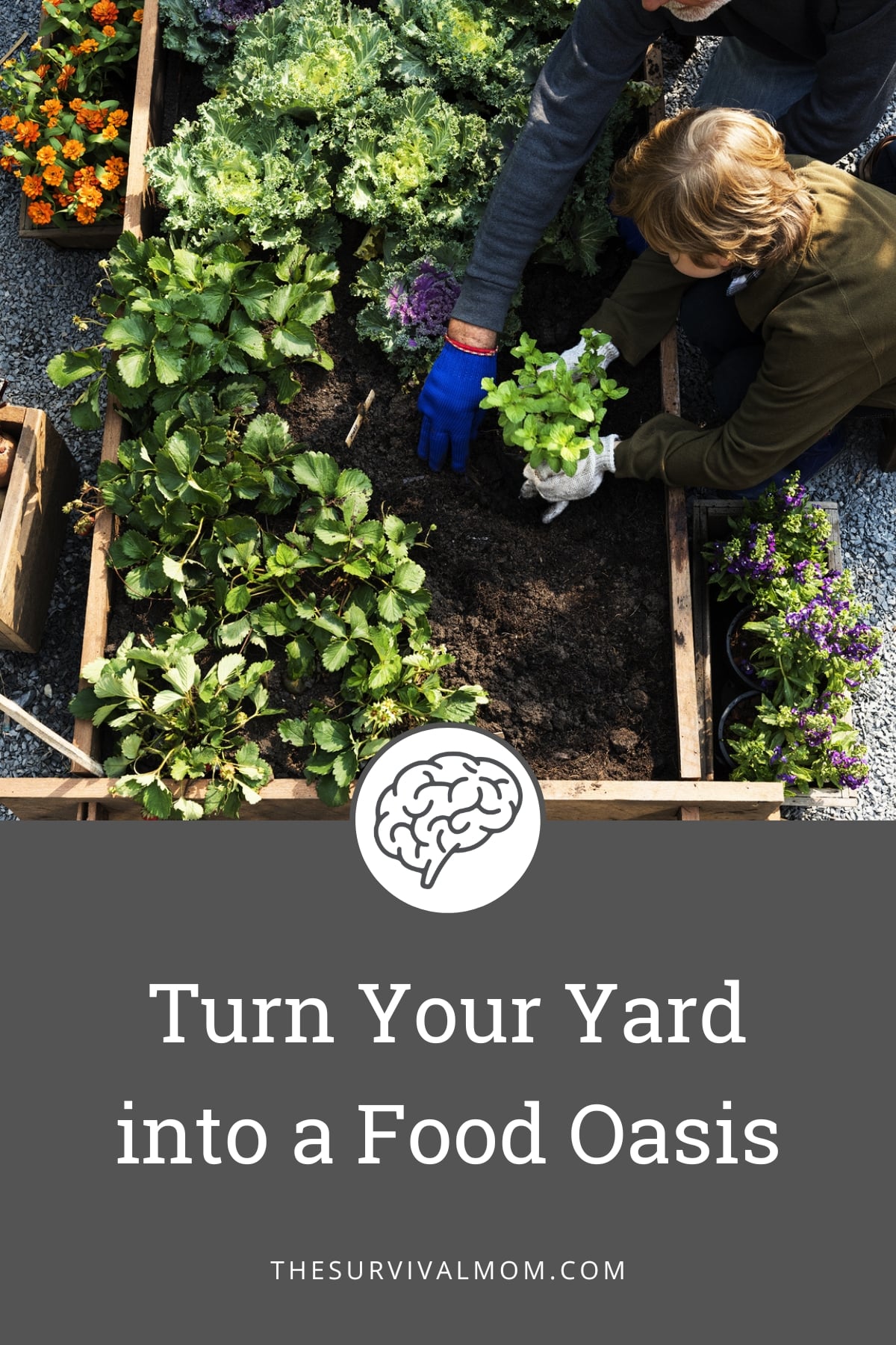 Turn Your Yard Into a Food Oasis with Backyard Farming - The Survival Mom