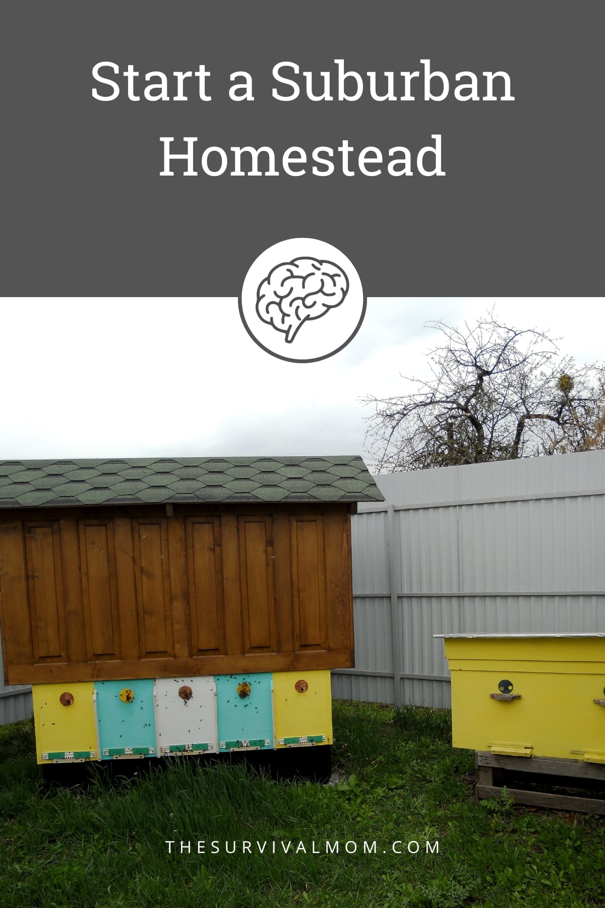 Turn Your Yard Into a Food Oasis with Backyard Farming - The Survival Mom