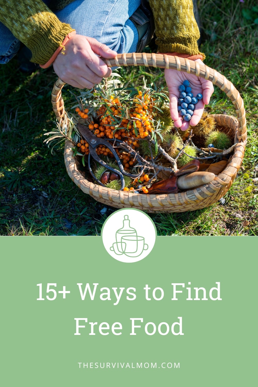 15+ Ways to Find Free Food - The Survival Mom