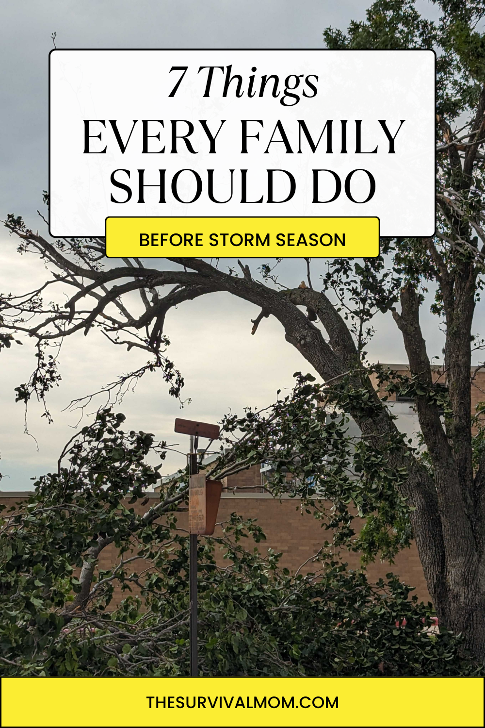 Severe Weather Preparedness: A Complete Family Guide to Storm Season ...